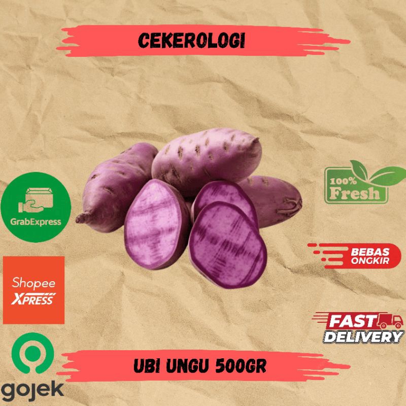 Jual Ubi Ungu 500gr / Ubi Ungu / Ubi Ungu Fresh Berkualitas ...