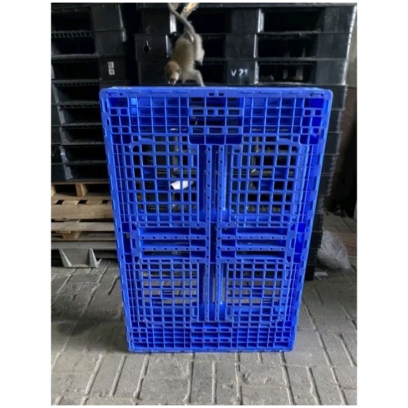 Jual palet plastik ukuran 120 x 80 x 15 | Shopee Indonesia