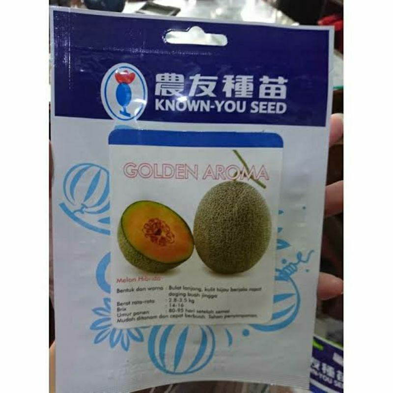 Jual 100 BIJI BIBIT BENIH MELON GOLDEN AROMA KNOWN YOU SEED KYS F1 ...