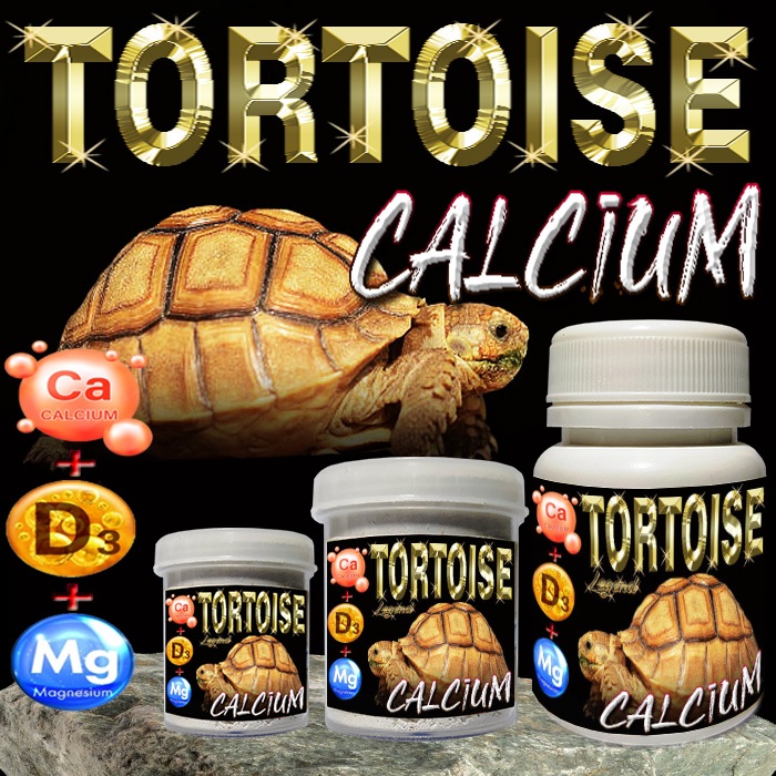 Jual TORTOISE CALCIUM +D3 KALSIUM BUBUK POWDER VITAMIN KURA-KURA DARAT ...