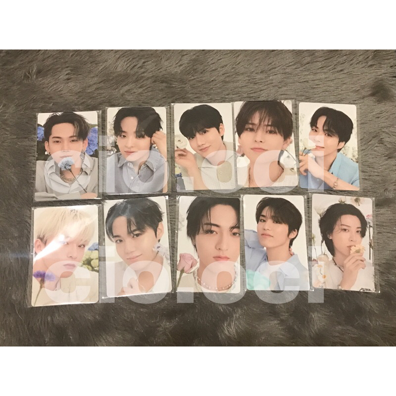 Jual [Ready Stock] Bundle Official Photocard Treasure Ongredients ...