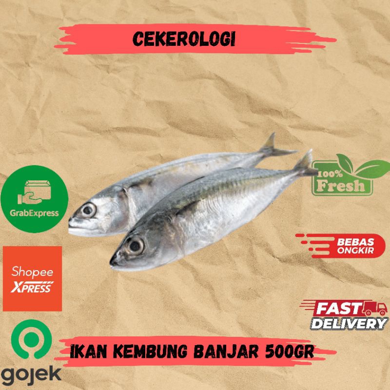 Jual Ikan Kembung Banjar 500gr / Ikan Kembung Banjar / Ikan Kembung ...