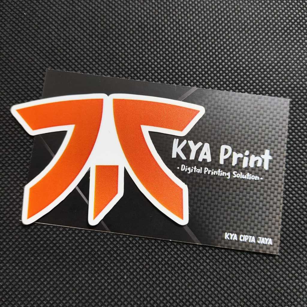 Jual Premium Sticker VALORANT Fnatic | Shopee Indonesia