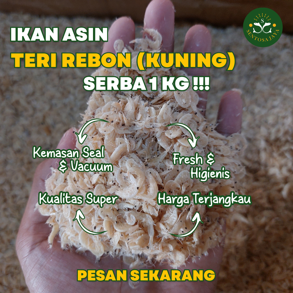 Jual Udang Rebon 1 KG Ikan Asin Teri Udang Rebon (Warna Kuning dan ...