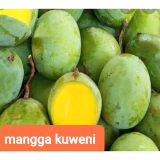 Jual Mangga 1 Kg Terlengkap & Harga Terbaru Agustus 2024 | Shopee Indonesia