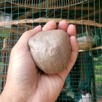 Jual LEM PULUT BURUNG super lengket 100gram / leget | Shopee Indonesia
