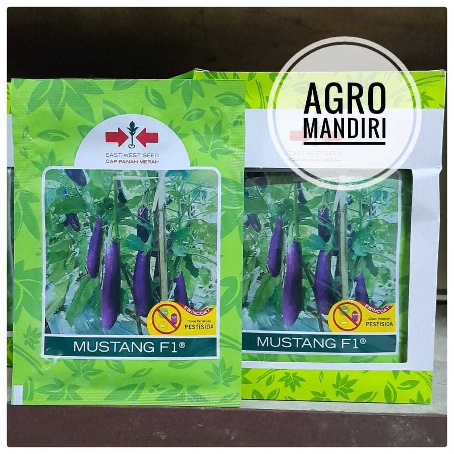 Jual Terong Ungu Panjang Mustang F1 1100 Benih Bibit Cap Panah Merah | Shopee Indonesia