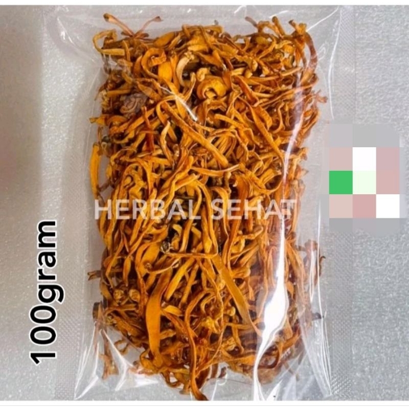 Jual CONG CAO HUA 100GRAM BUNGA CORDYCEPS CONGCAOHUA CHONG CHAO HUA ...