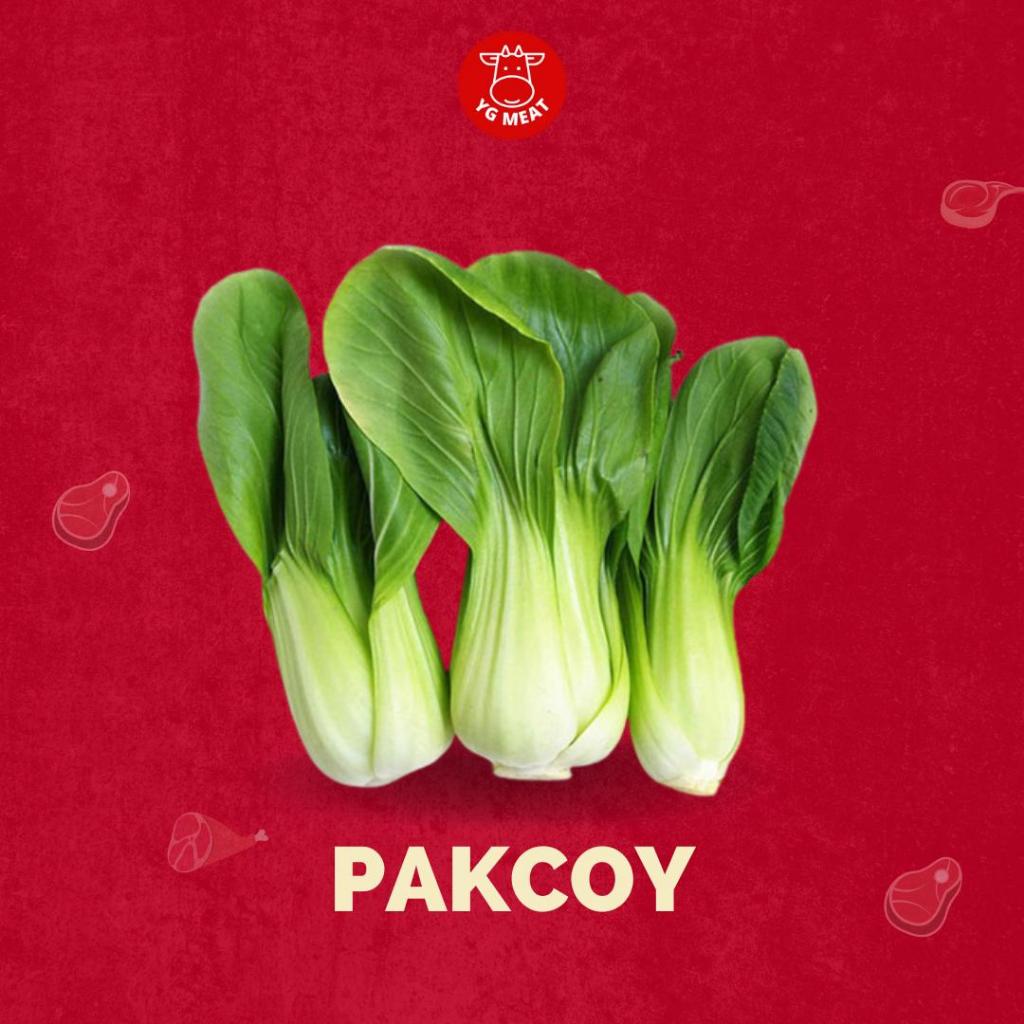Jual Pakcoy 1 pack | sayuran | Shopee Indonesia