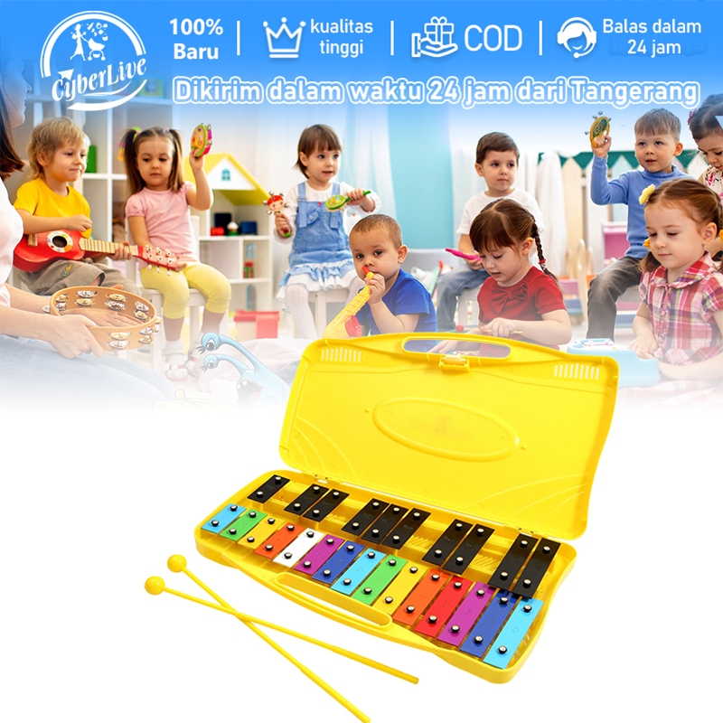 Jual Xylophone Glockenspiel Percussion Rhythm Musical Mainan Anak Musik ...