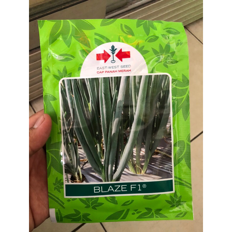 Jual Benih Daun Bawang BLAZE F1 10 Gram Cap Panah Merah | Shopee Indonesia