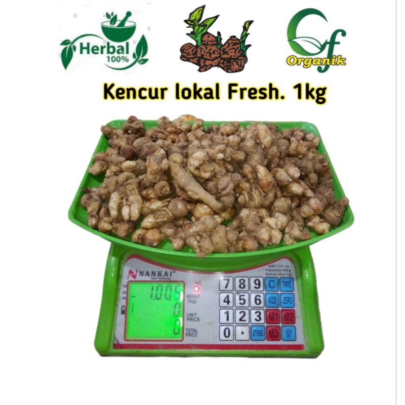 Jual Kencur Lokal 1kg Empon Empon Palawija Bumbu Masak | Shopee Indonesia