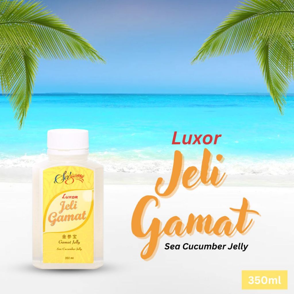 Jual Jelly Gamat Luxor 350ml Ekstrak Teripang Emas Sea Cucumber Asli ...