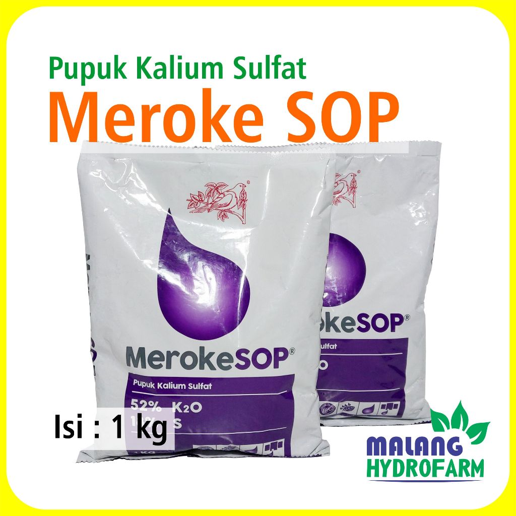 Jual Pupuk Meroke SOP 1 kg pembungaan pembuahan pupuk makro majemuk ...