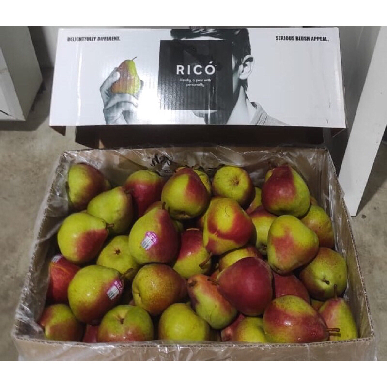 Jual Buah Pear Pir Rico Australia 1 Dus (11 KG) Fresh Import | Shopee ...