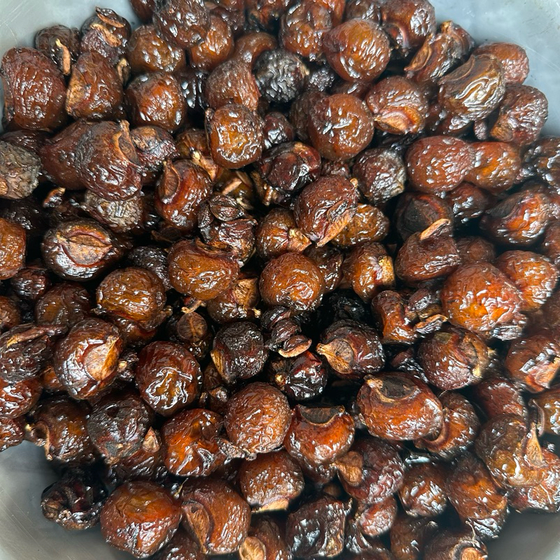 Jual Buah Lerak / Soap Nut / Soap Berry 1 Kg Ramah Lingkungan | Shopee ...