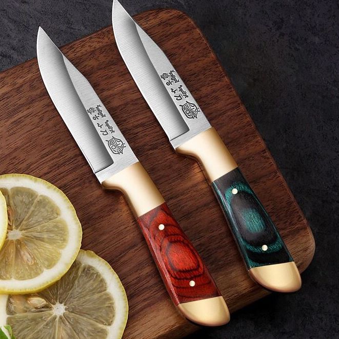 Jual Pisau Dapur/Pisau Chef/Pengupas Buah Stainless Steel Premium ...