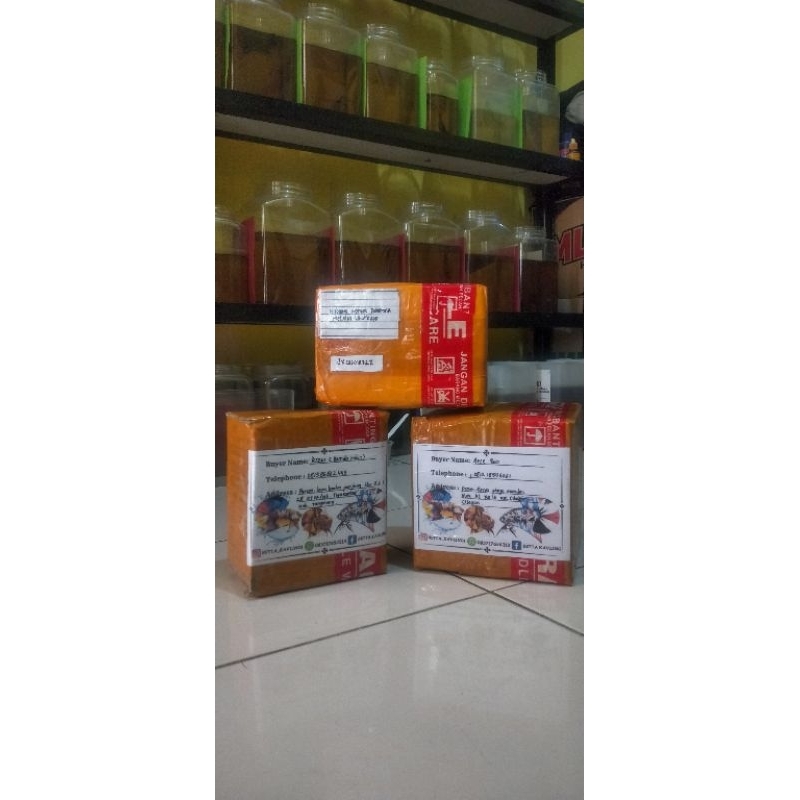 Jual BOX PACKAGING (KHUSUS CO) | Shopee Indonesia