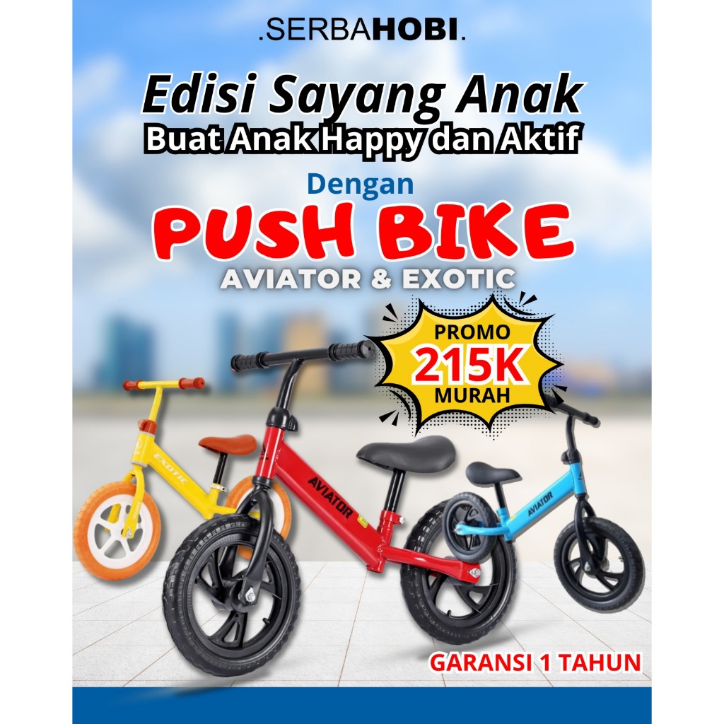 Jual Sepeda Push Bike Anak cocok untuk Melatih Keseimbangan Anak ...