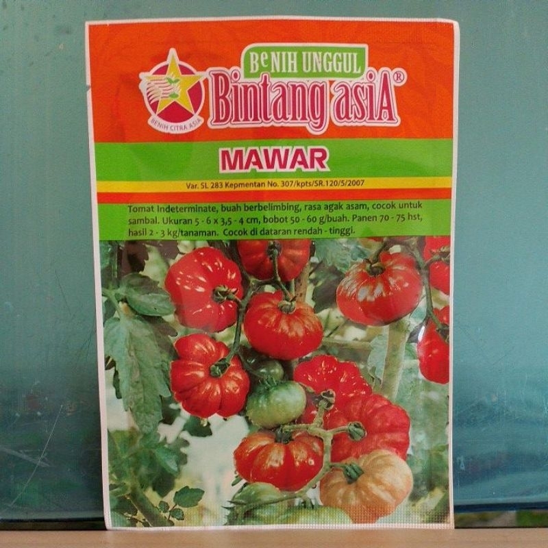 Jual Benih Tomat Belimbing Mawar 10 Gram - Cap Bintang Asia | Shopee ...