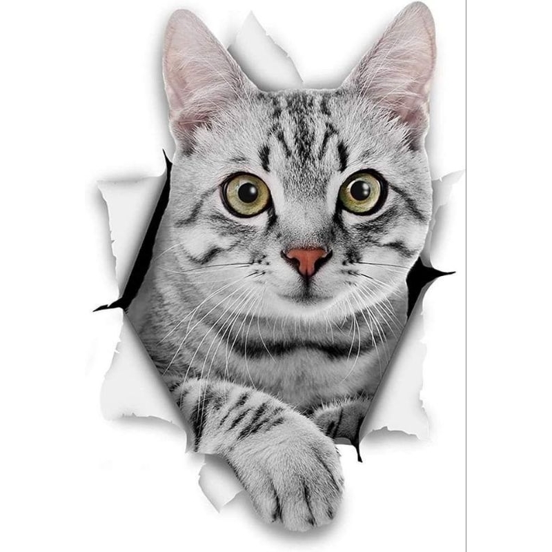Jual stiker kucing lucu 3d print cut | Shopee Indonesia