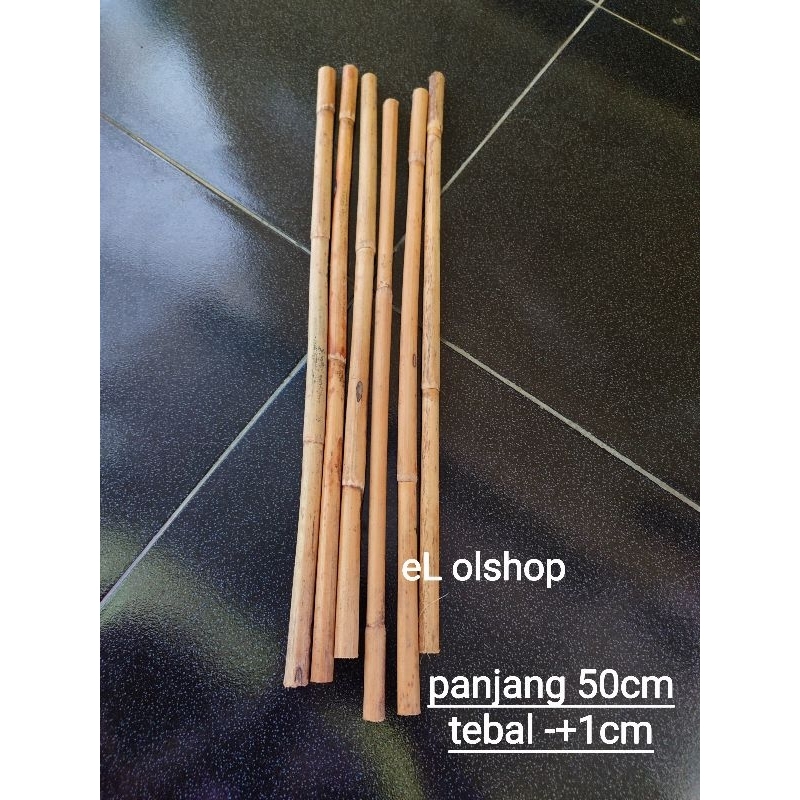 Jual Rotan Batang/Rotan Pitrit/Fitrit/Kerajinan Rotan Panjang 50cm ...