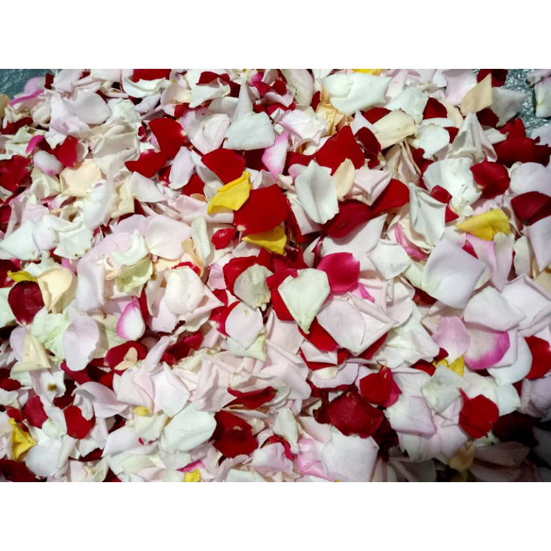 Jual Bunga mawar tabur asli segar CIMAHI BDG PADALARANG | Shopee Indonesia