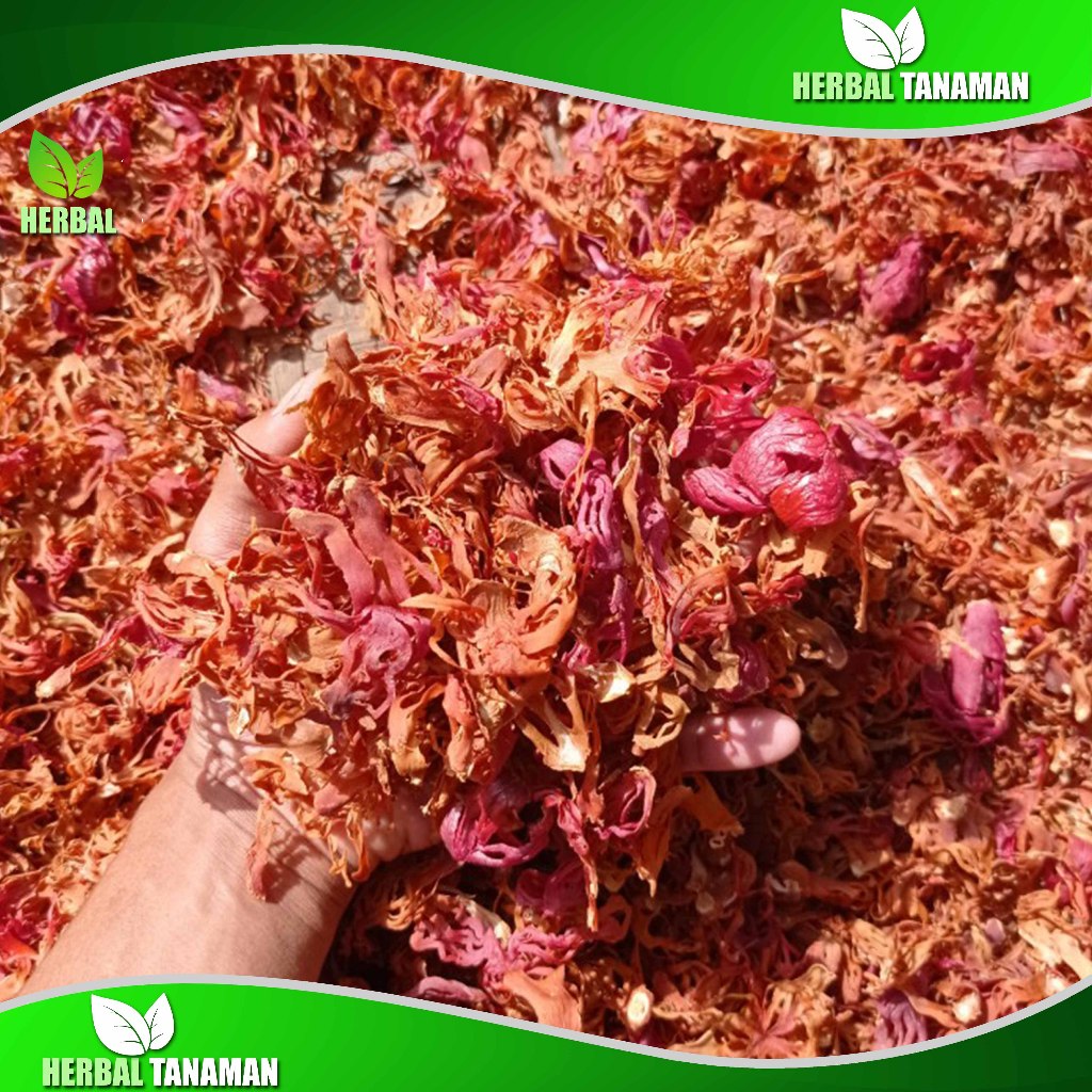 Jual Bunga Pala Kering 1 kg - Fuli - Sempra Pala Kering | Shopee Indonesia