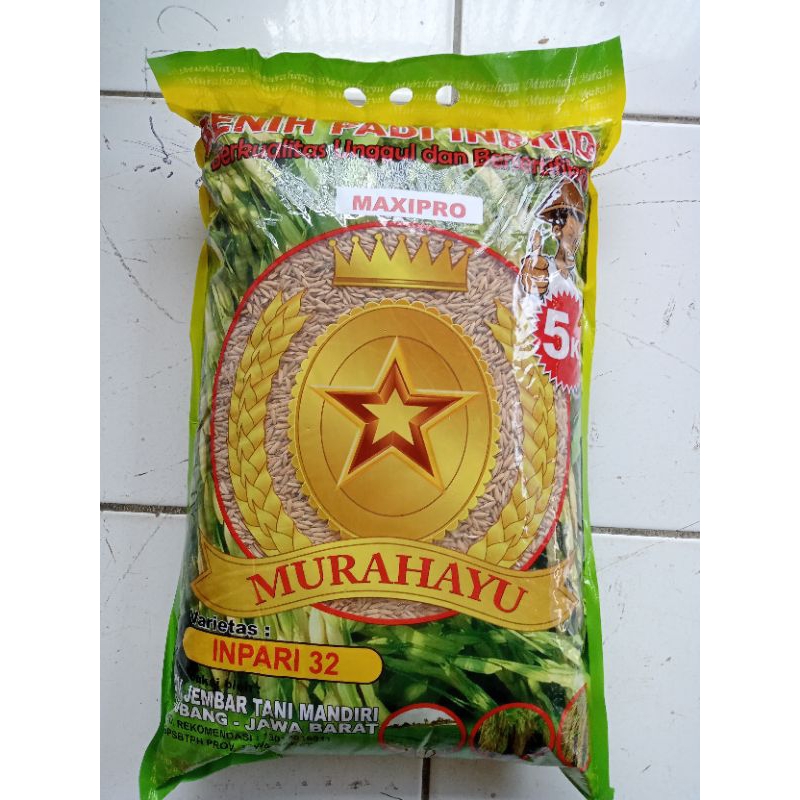 Jual LyLt Benih padi Inpari 32 Maxipro berkualitas bersertifikat kemasan 5kg | Shopee Indonesia