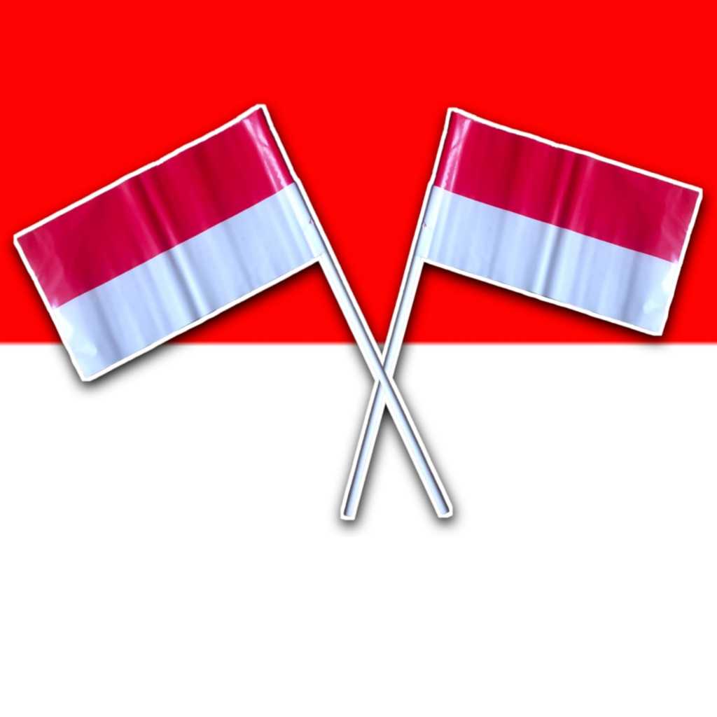 Jual 10 PCS BENDERA MERAH PUTIH GAGANG BESAR / BENDERA GENGGAM PLASTIK ...