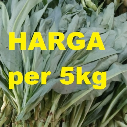 Jual 5kg Sayur Fumak Kumek Kumak Segar Setiap Hari Baru Fresh Makanan ...
