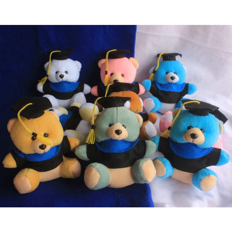 Jual Lebih Bagus BONEKA WISUDA TINGGI 15 CM | Shopee Indonesia