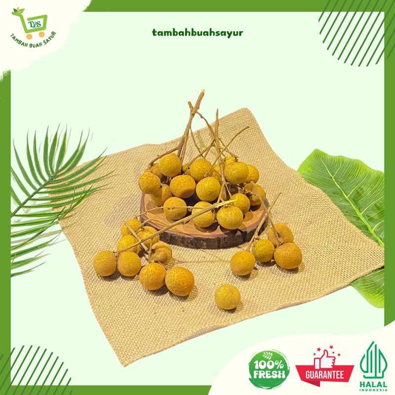 Jual LENGKENG PREMIUM | LENGKENG SUPER (KHUSUS SAMEDAY DAN INSTAN ...