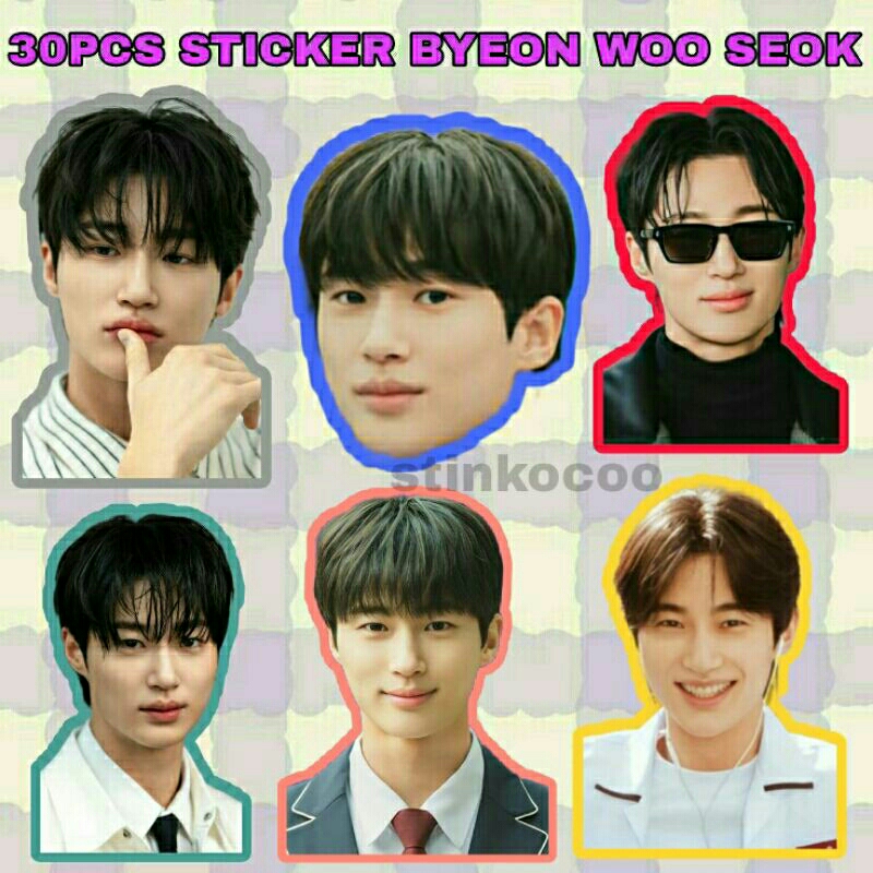 Jual [30PCS] STICKER BYEON WOO SEOK ISI 30 STICKER | Shopee Indonesia