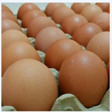 Jual telur ayam ras/eropa biasa ( size LL)per papan | Shopee Indonesia