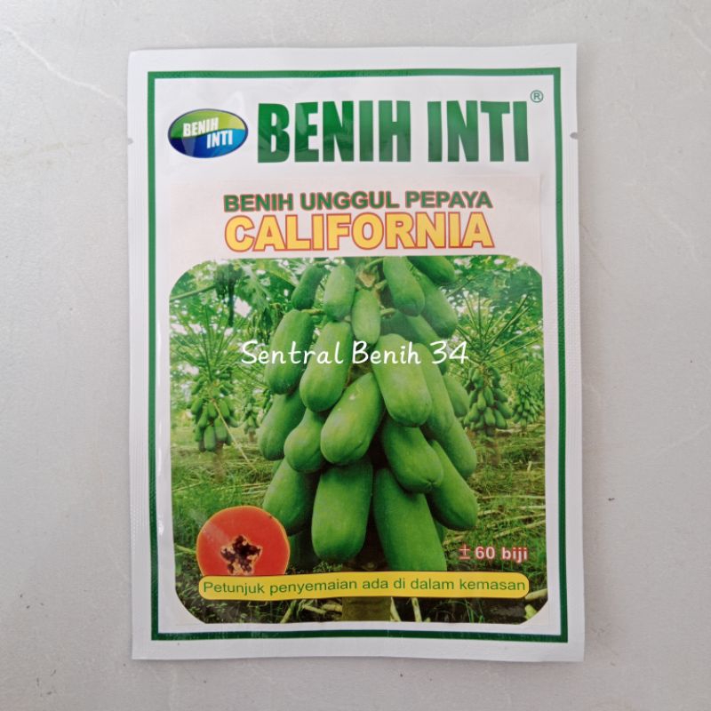 Jual Benih Pepaya California Benih Inti 60 Butir - Cap Benih Inti ...