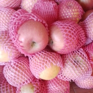 Jual Apel Fuji Terlengkap & Harga Terbaru Juni 2024 | Shopee Indonesia