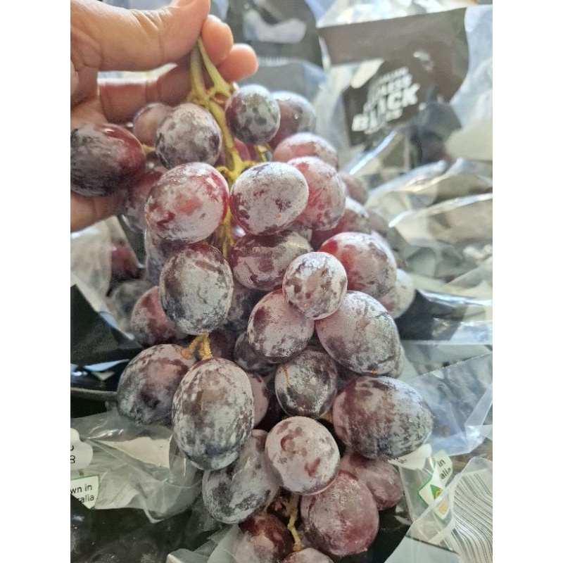 Jual anggur autum royal 1 Kg | Shopee Indonesia