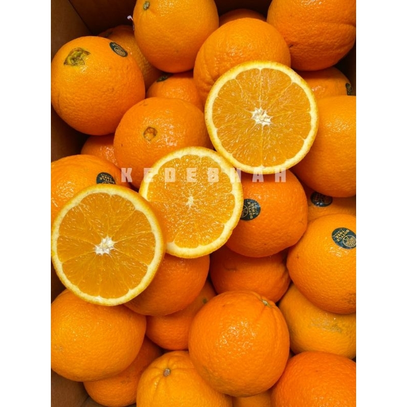 Jual Jeruk Navel Australia | Shopee Indonesia