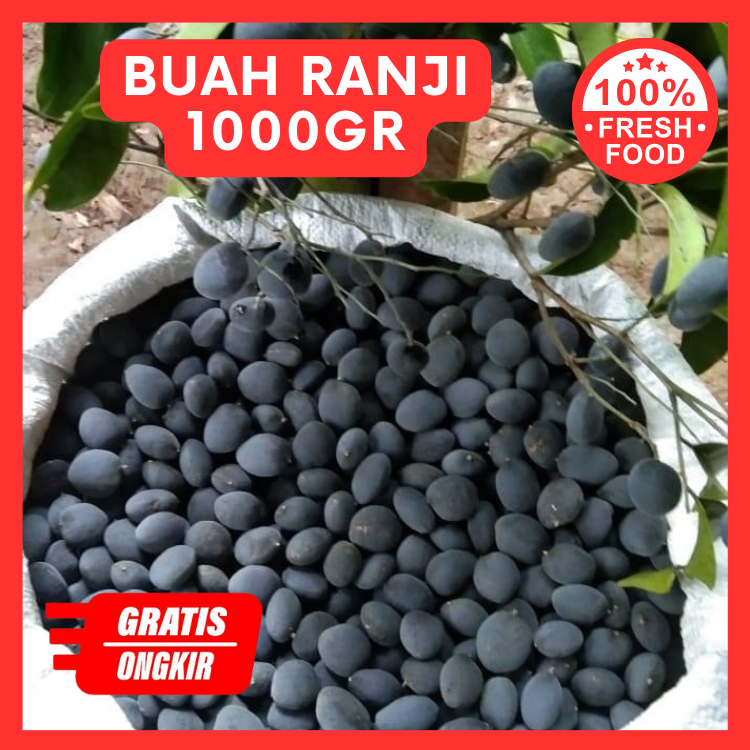 Jual Buah Keranji Ranji Asam Kranji untuk Obat 1000 gram | Shopee Indonesia