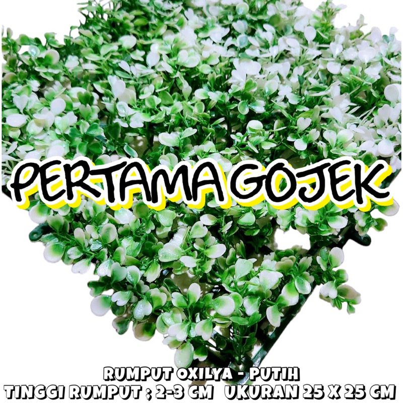Jual Rumput OXILYA WARNA Ukuran 25X25 Cm/ Rumput Artificial/ Daun ...