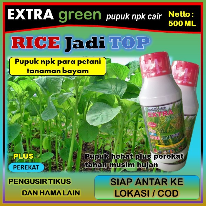 Jual Pupuk tanaman bayam npk cair lengkap ( EKTRA GREEN RICE jadi TOP ) 500 ml - pupuk pelebat ...