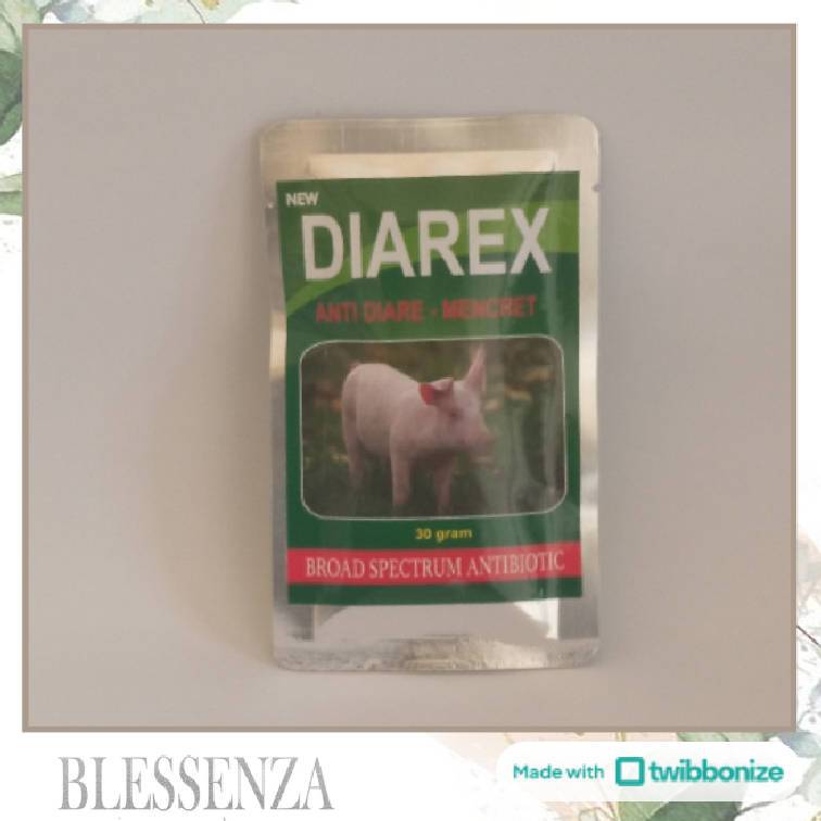 Jual DIAREX PIG 30GR POWDER - OBAT ANTI DIARE MENCRET DAN SAKIT ...