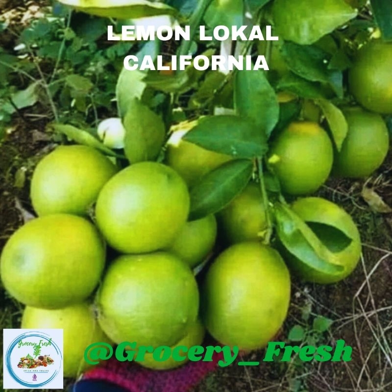 Jual Lemon California Fresh Lemon Lokal Segar Mengandung Vitamin C ...