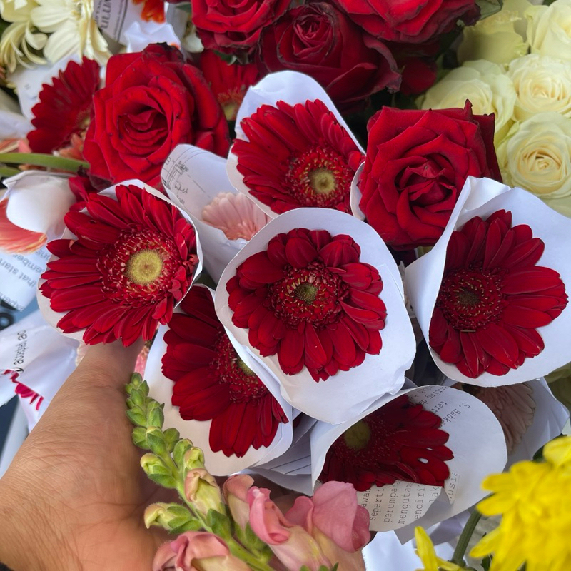 Jual bunga potong garbera segar isi 5 dekorasi wedding bouquets bunga ...