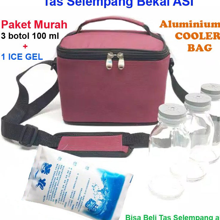 Jual Harga Pabrik Cooler Bag Tas Asi ASIP mini Paket 3 botol ASI 1 Ice ...