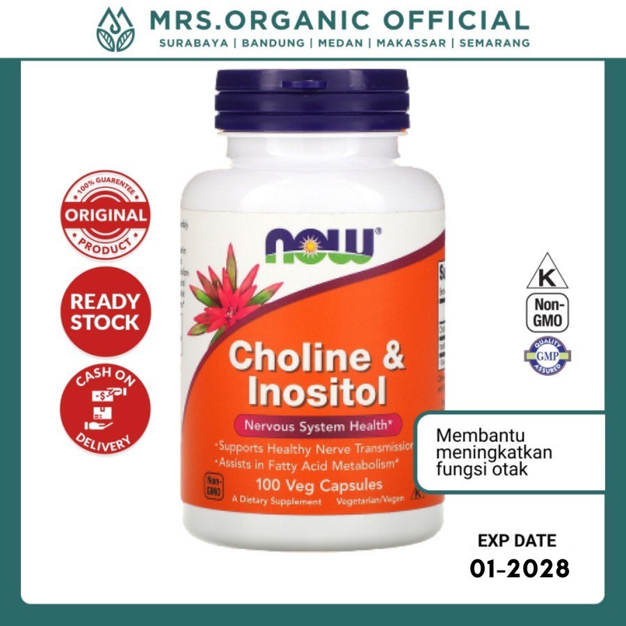 Jual NOW Choline & Inositol – 100 Kapsul untuk Kesehatan Hormon, Saraf ...