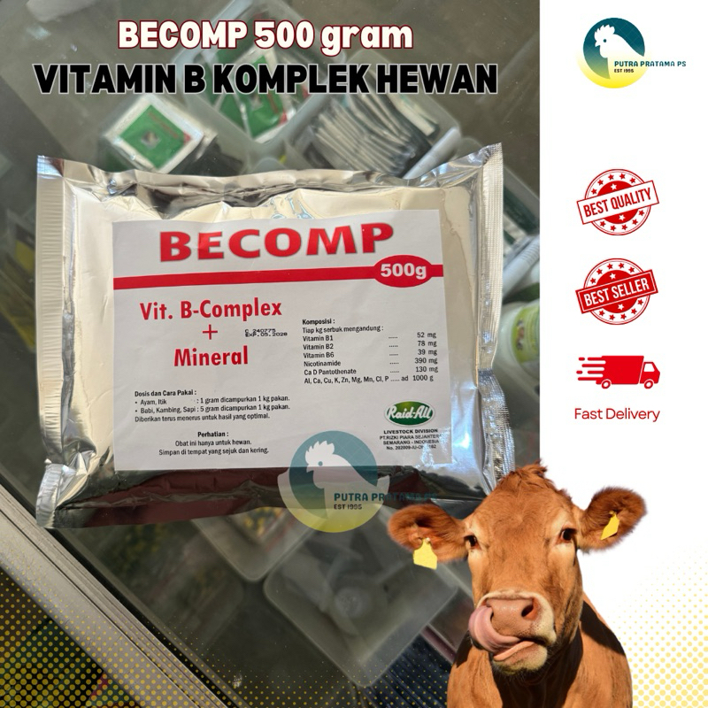 Jual BECOMP BCOMP B Kompleks Serbuk RaidAll 500 gram | Shopee Indonesia