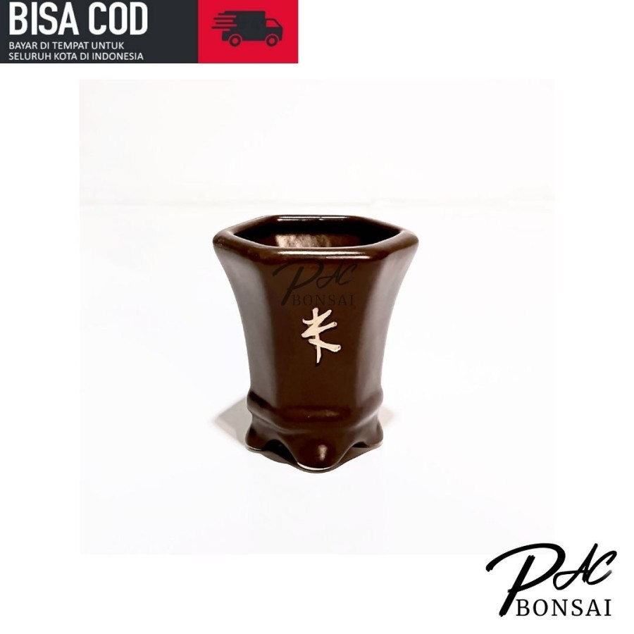 Jual Pot Bonsai Keramik Mame Cascade, Kaktus Sukulen | Shopee Indonesia