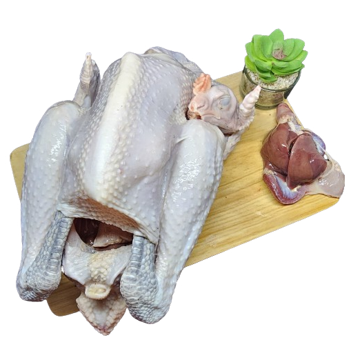 Jual Ayam Kampung Fresh 1,3kg | Shopee Indonesia